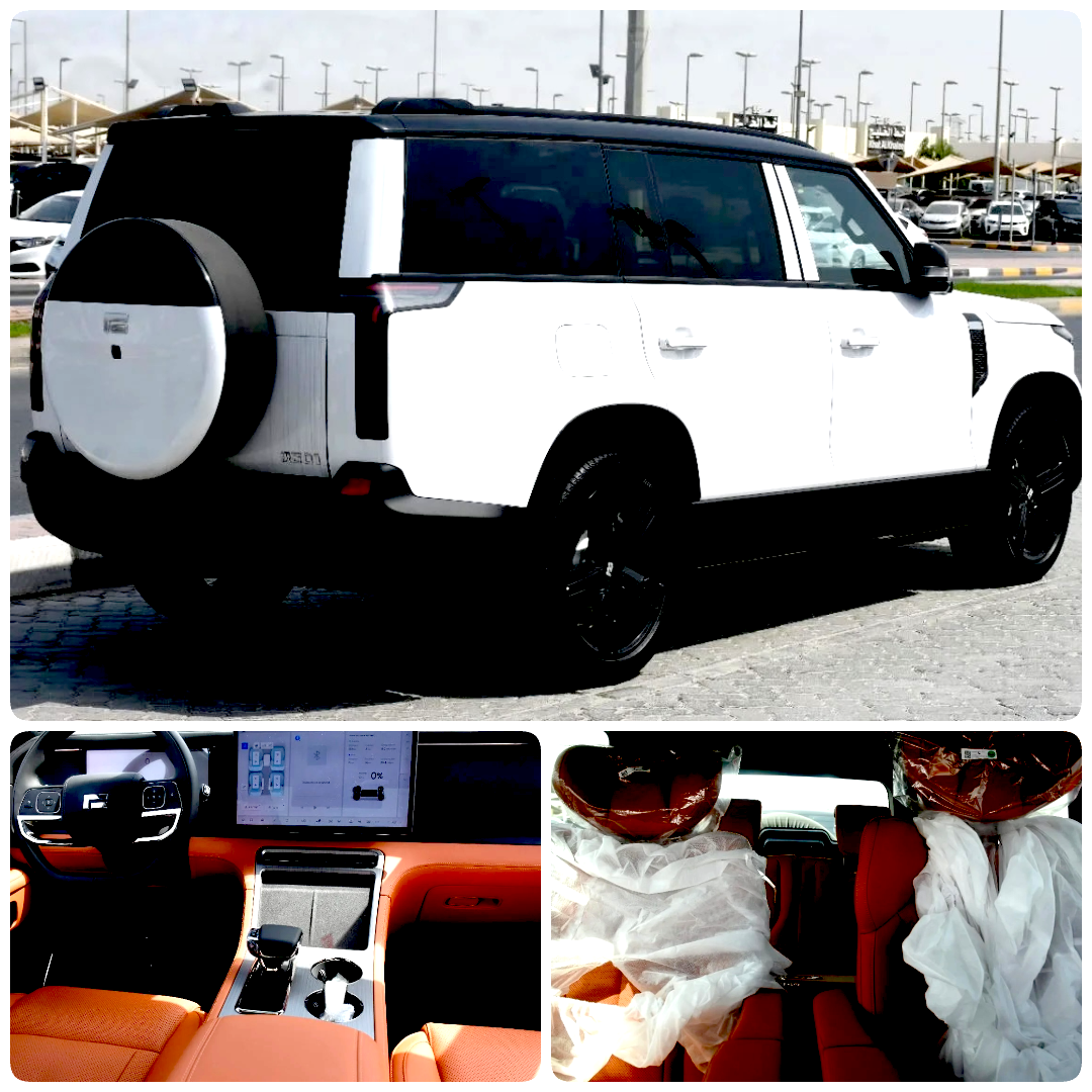 ROX 01 VIP 6 SEATS PHEV. "VIP Comfort, Plug-in Power" | ALFARIS Used ...